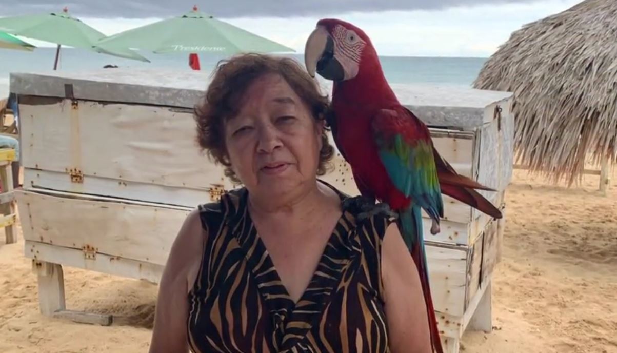 Family remembers 76-year-old woman who was killed in Miami hit-and-run ...