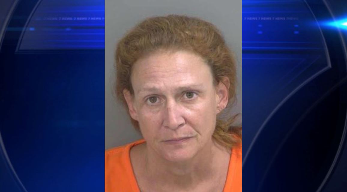Florida dog walker accused of stealing $106K in jewelry from elderly ...