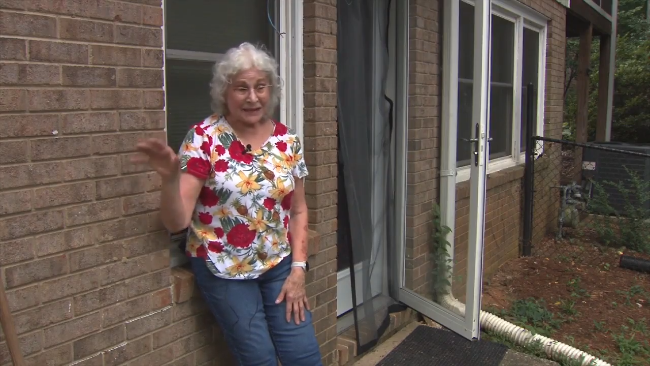 Raleigh woman bit by copperhead snake while protecting dogs - WSVN ...