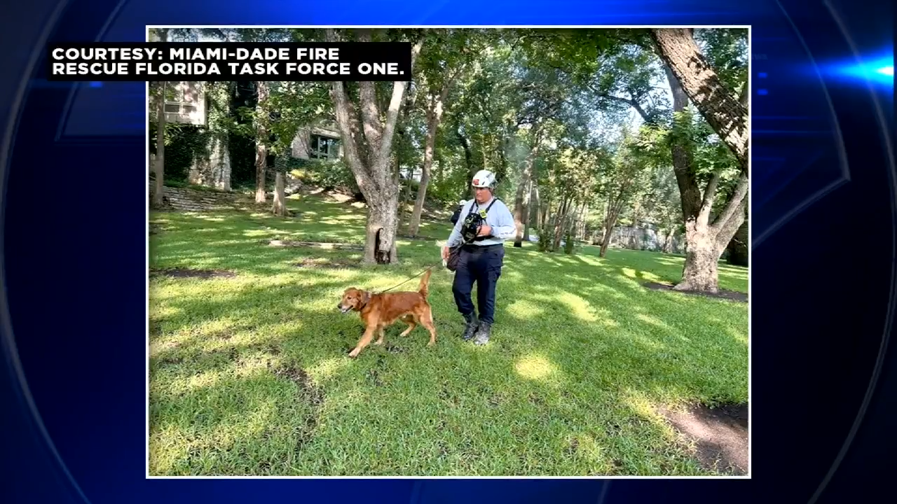 Miami-Dade firefighters assist search-and-rescue efforts in central ...