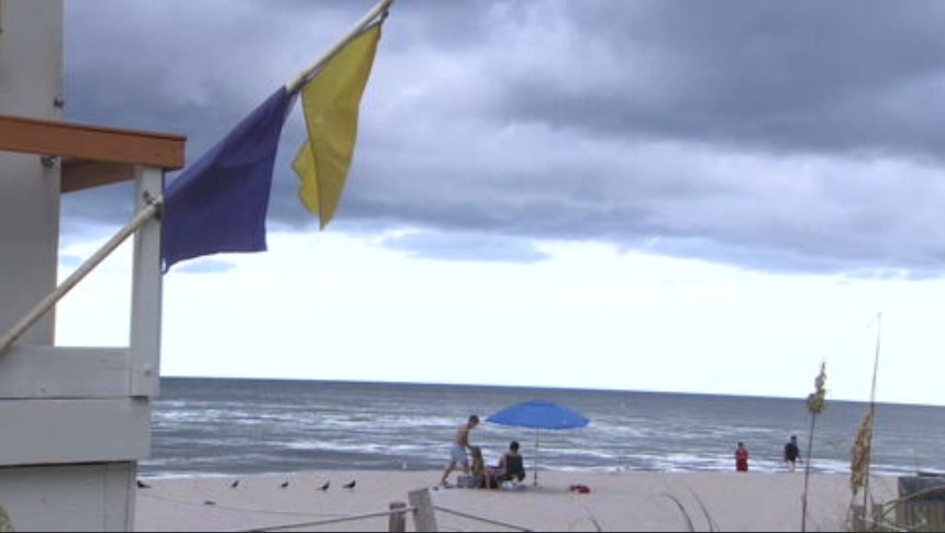 Man seriously injured after shark bite to his arm at Hollywood Beach ...