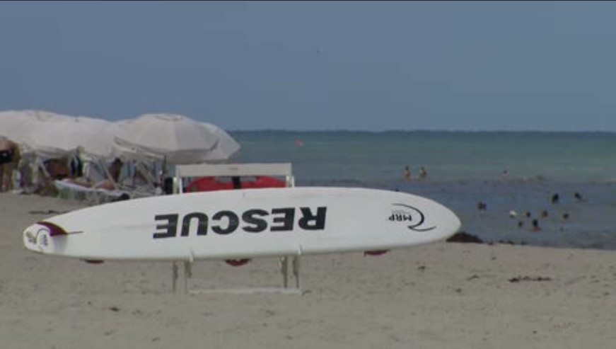 911 call captures moment after man is attacked by a shark in Hollywood ...