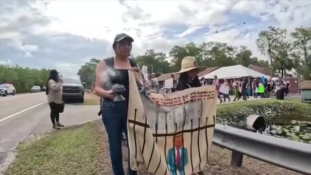 Protesters in downtown Miami, Everglades decry Trump, ‘Alligator ...
