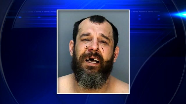 Man jailed for allegedly ramming into police cruisers now accused of ...
