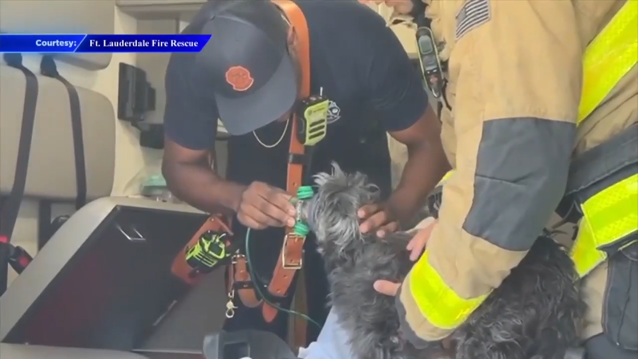 2 displaced, dog rescued after apartment fire in Fort Lauderdale - WSVN ...