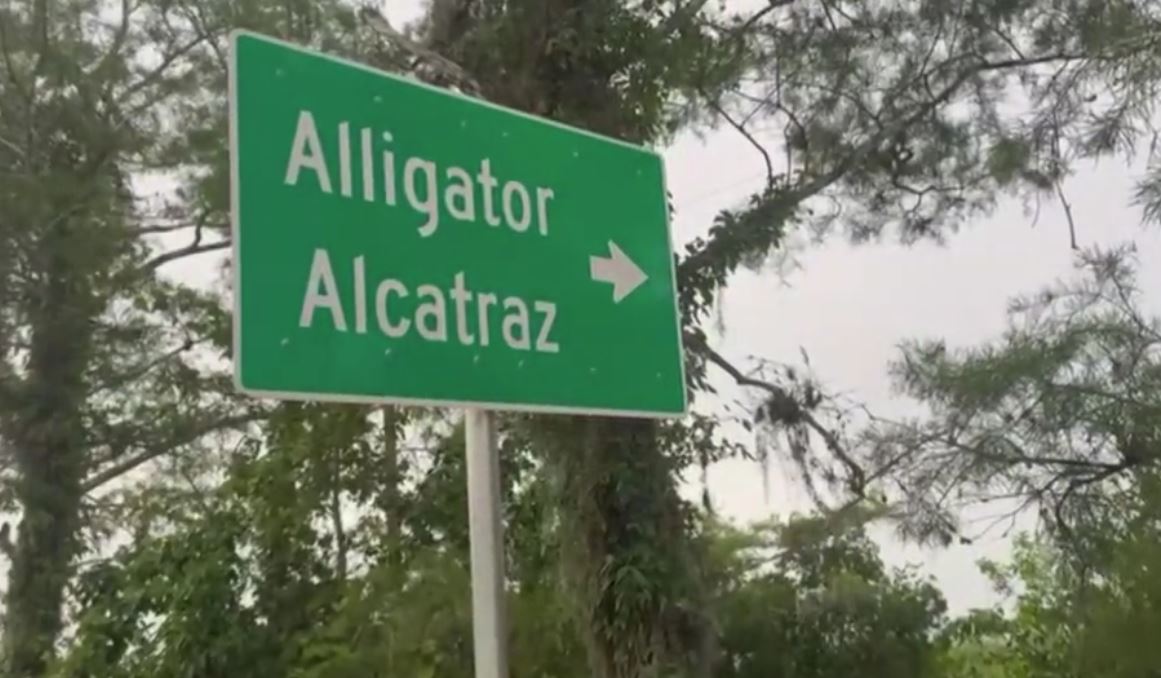 ALLIGATOR ALCATRAZ SIGN – WSVN 7News | Miami News, Weather, Sports ...