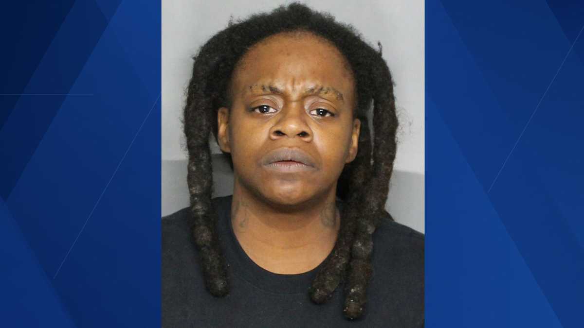 Woman arrested for leading FHP troopers on 28-mile drunken high-speed ...