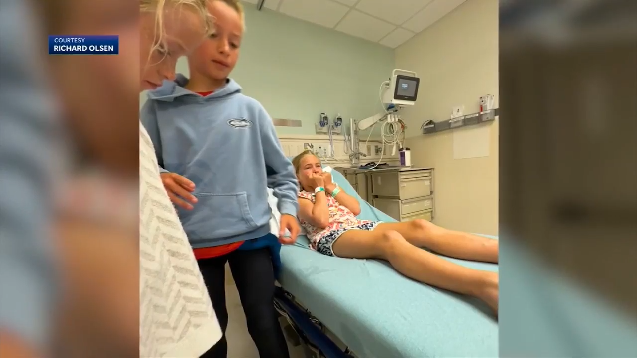 9-year-old girl bitten by sea lion while surfing at California beach ...