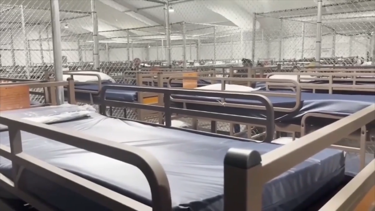 Environmental ruling set to be made today by judge on ‘Alligator ...