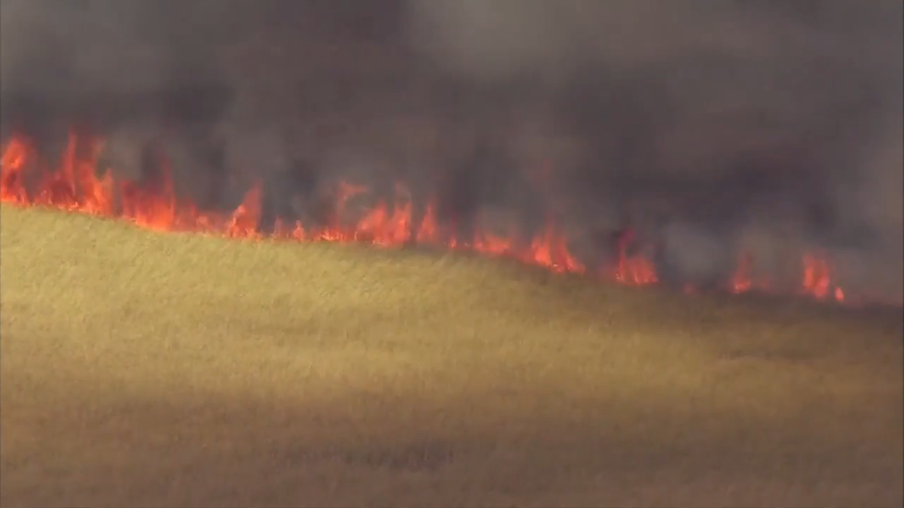 Brush fire continues to burn in West Broward; 42K acres charred, 10% contained - WSVN 7News ...