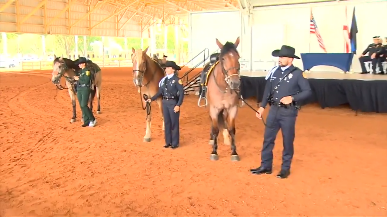 Miami Police celebrates graduation of several new members of mounted ...
