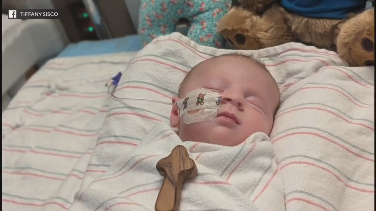 Rare tick-borne Powassan virus suspected of infecting newborn on Martha ...
