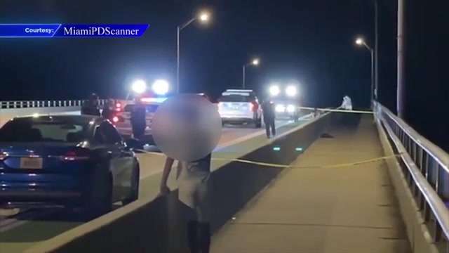 Rickenbacker Causeway reopens after bike crash that killed man, injured ...