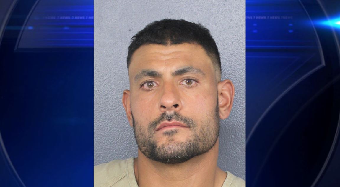 Miami Dolphins – WSVN 7News | Miami News, Weather, Sports | Fort Lauderdale