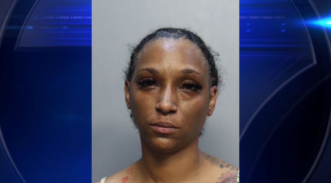 Mother accused of threatening parent with gun at Miami elementary ...