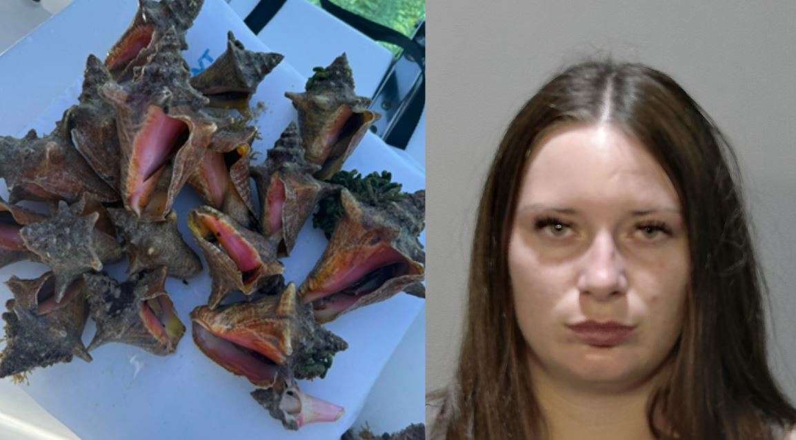 Key West woman charged with illegally harvesting queen conch after ...