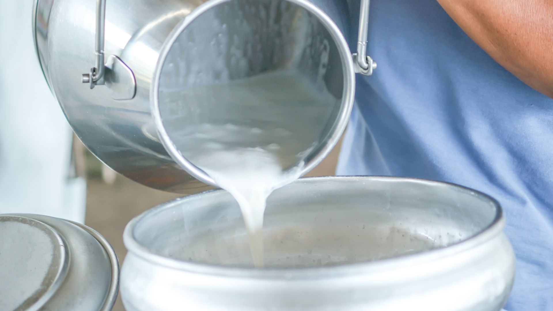 Raw milk sickens 21 people in Florida including 6 children - WSVN 7News ...