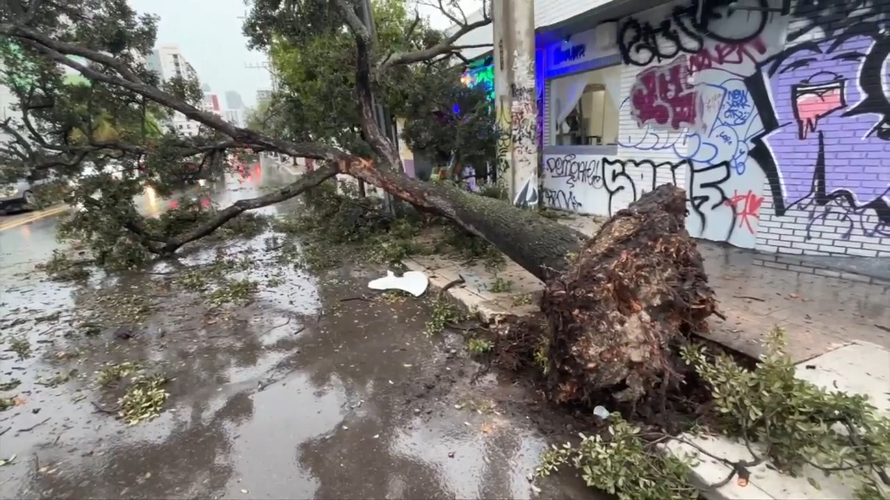 Drivers deal with toppled trees, flooded streets and stalled cars as ...