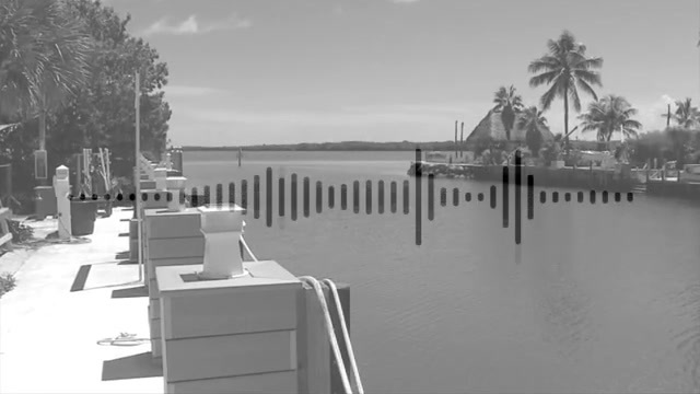 911 call captures father’s frantic response after 8-year-old boy bitten ...