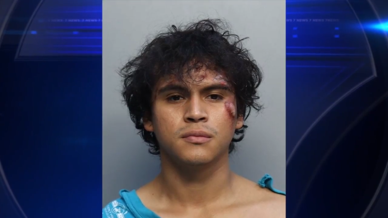 Driver battered officer, struck 3 vehicles while fleeing North Miami ...