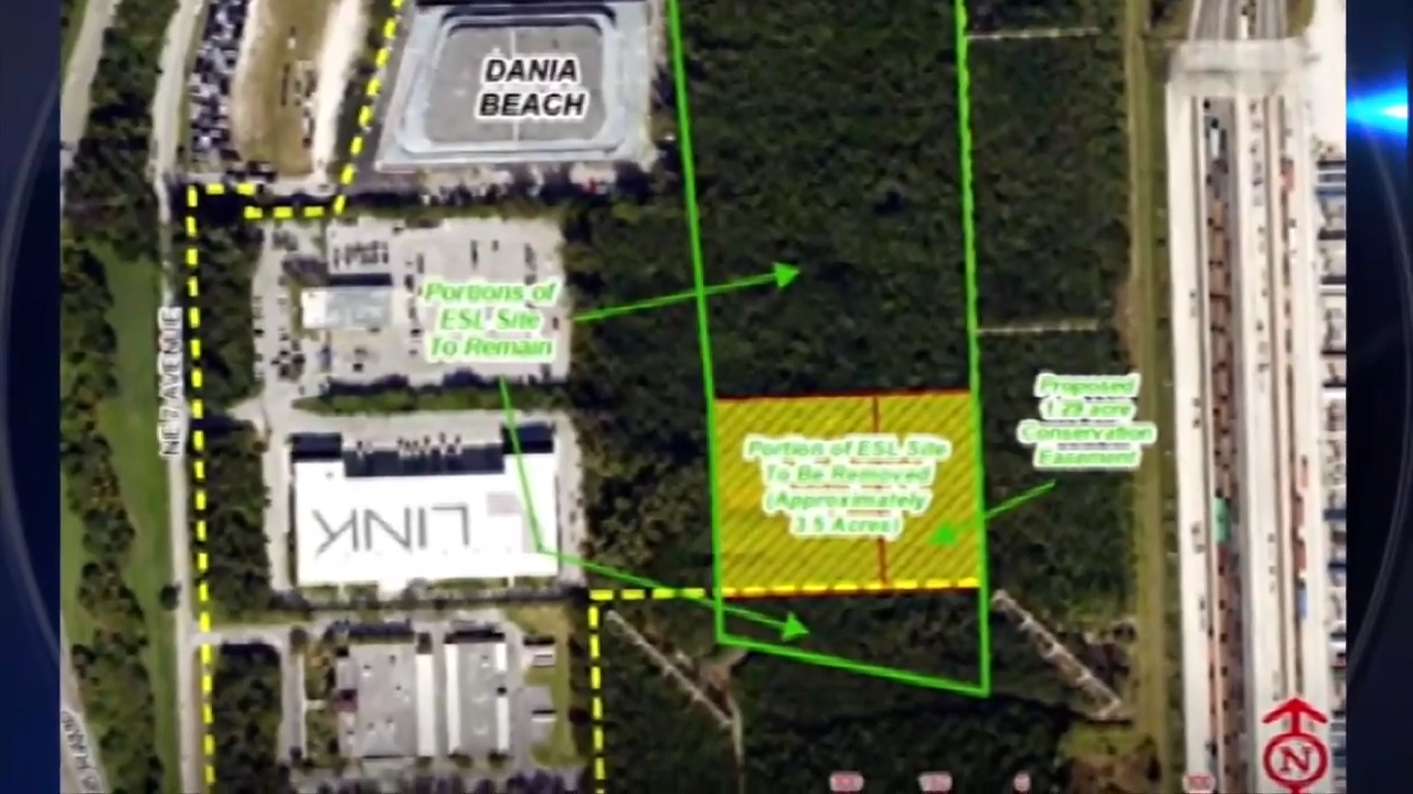 Dania Beach residents raise environmental concern for wildlife ...