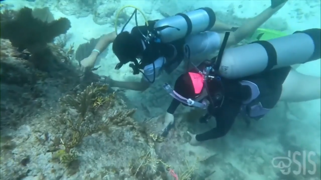 ‘Jr Scientists In The Sea’ gives South Florida kids an opportunity to ...