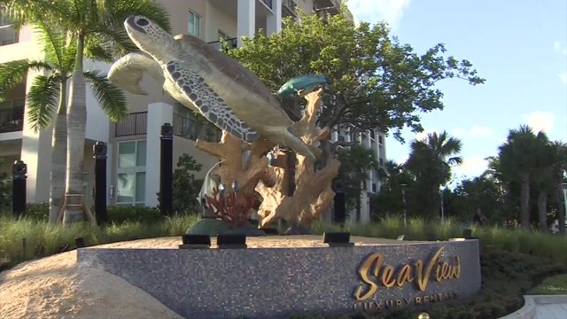 $1.5M bronze and steel sea turtle sculpture unveiled in Dania Beach ...