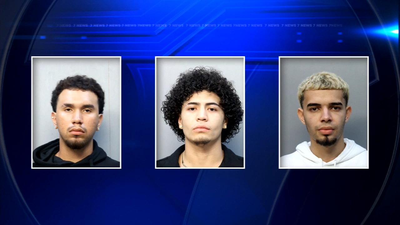 3 arrested in connection with street takeover in SW Miami-Dade - WSVN ...
