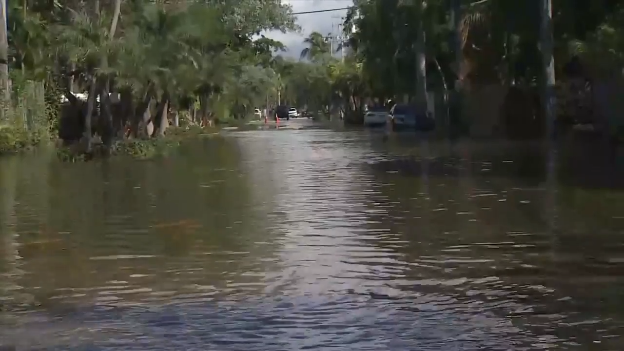 Residents react to king tides flooding on South Florida streets - WSVN ...