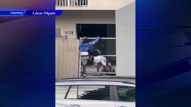 2 detained, 1 on the loose after fleeing scene of Tesla crash in Miami ...