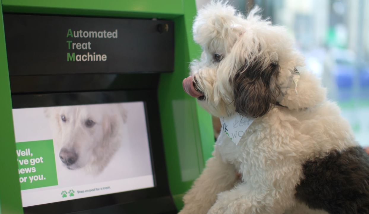 TD Bank to unveil Florida’s first “Dog ATM” in Coral Gables - WSVN ...