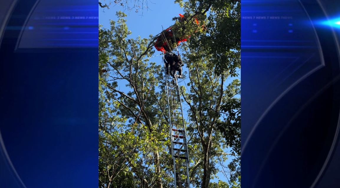 Tandem skydivers become separated, with one falling to his death and ...