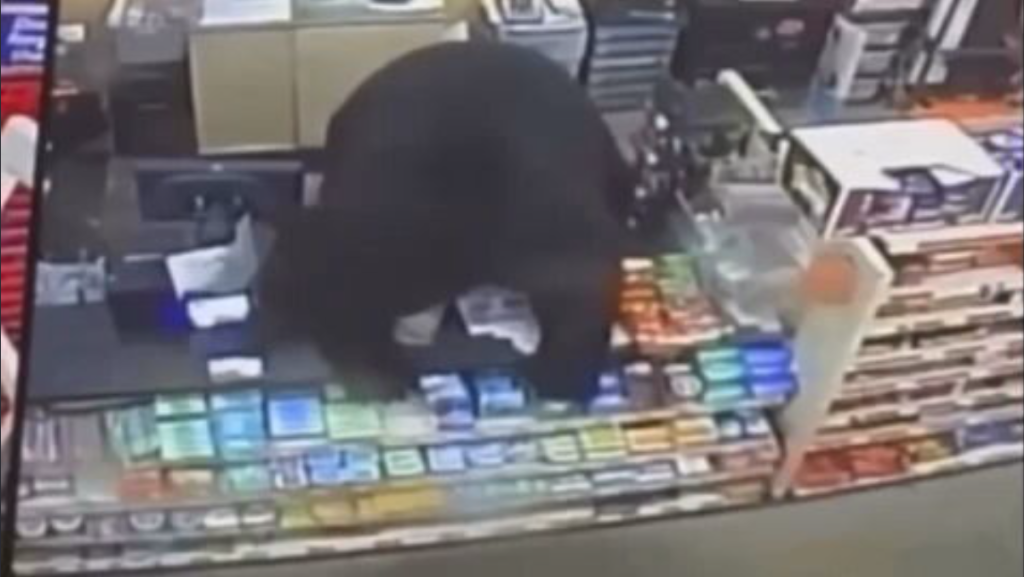 111825 Bear Family Dollar – WSVN 7News | Miami News, Weather, Sports ...