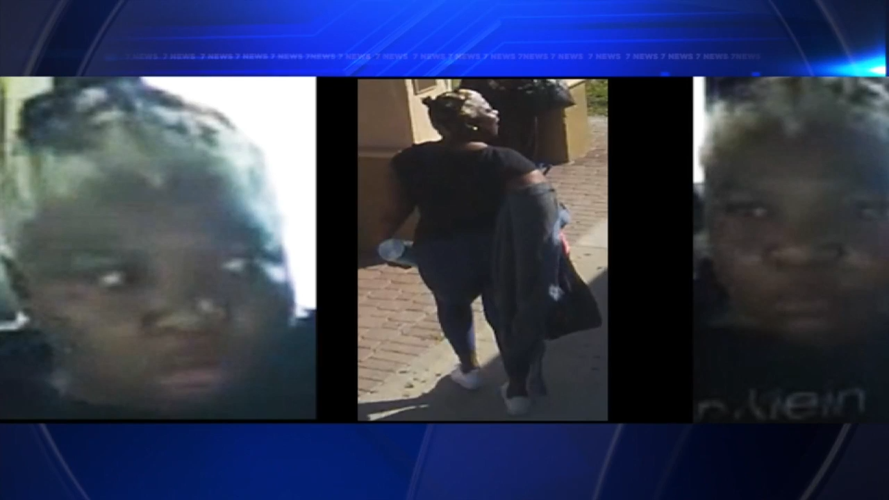 Video shows woman beating up 70-year-old passenger on Broward Transit ...