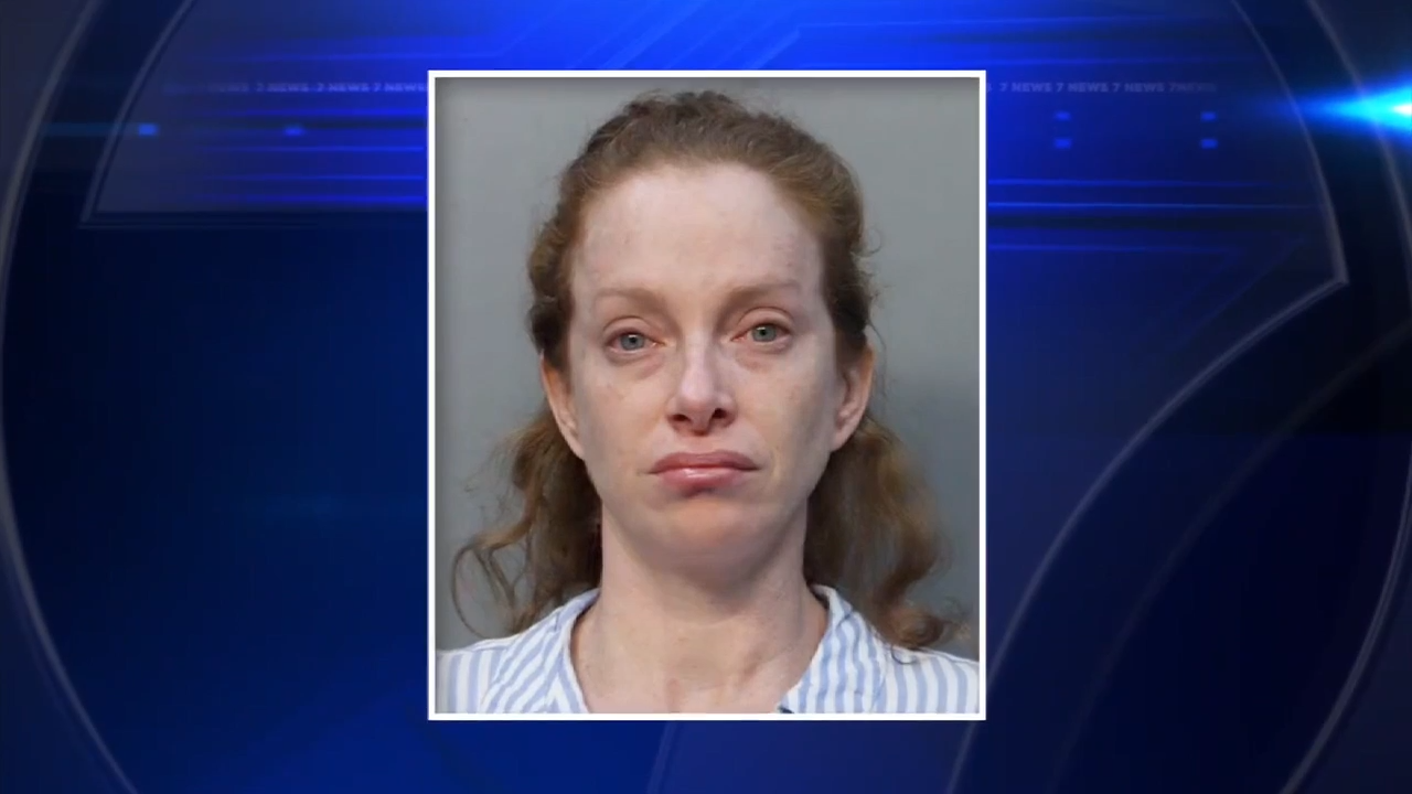 Doctor accused of attacking husband, spitting on FHP trooper on Palmetto Expressway fired from ...