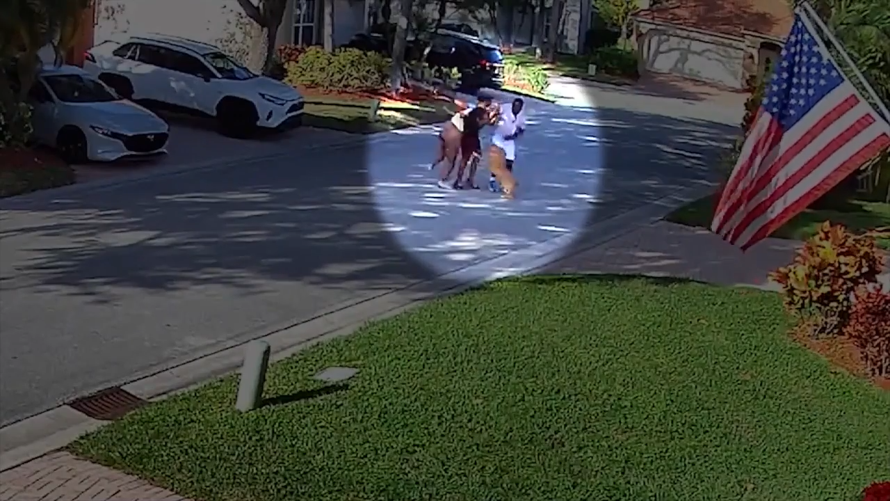 Dog seized by animal control after attack in Riviera Beach that injured ...