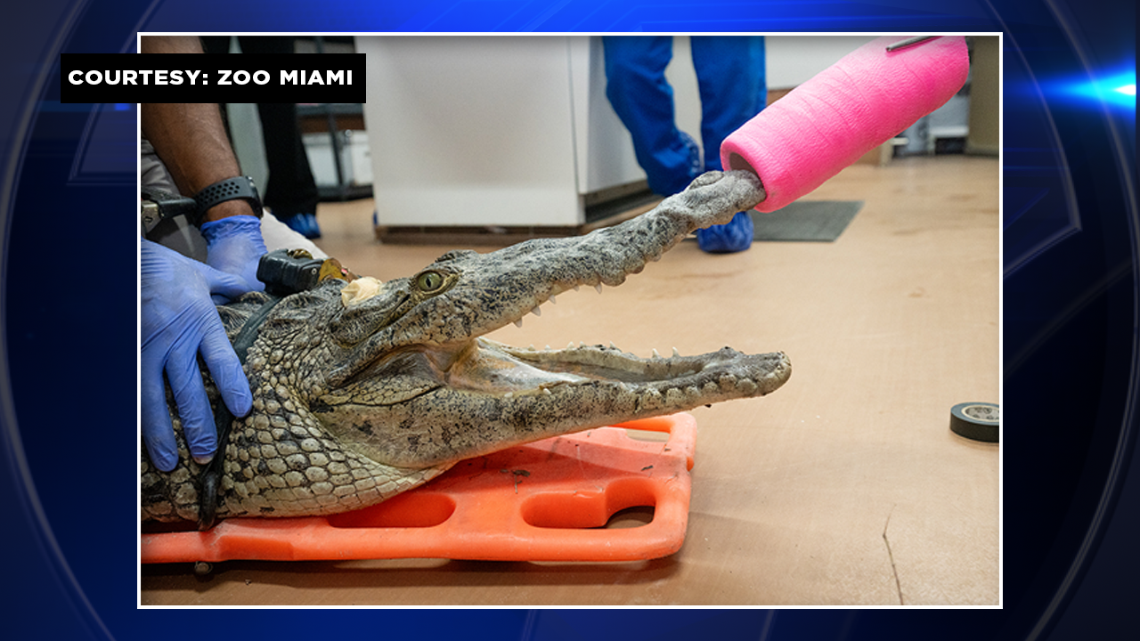 Hindi mein maa bete ki chudai