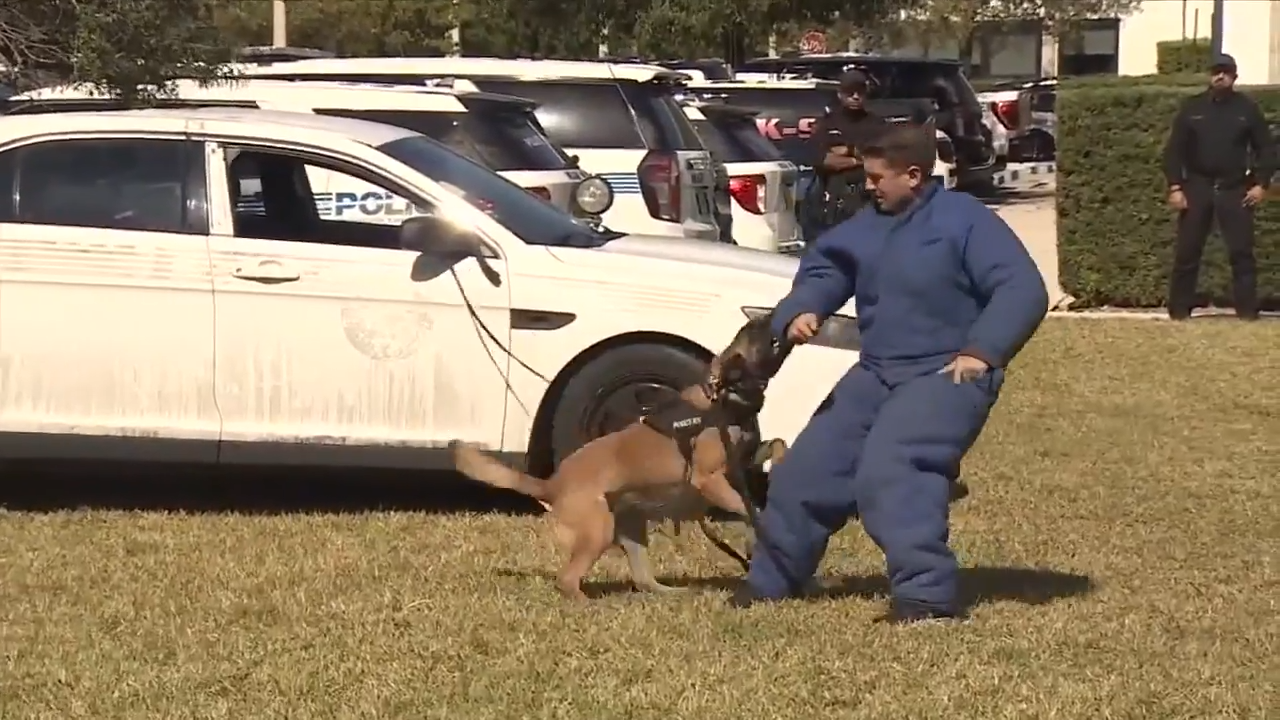 Miami, Miami Beach Police hold special ceremony for newly-trained K9s ...