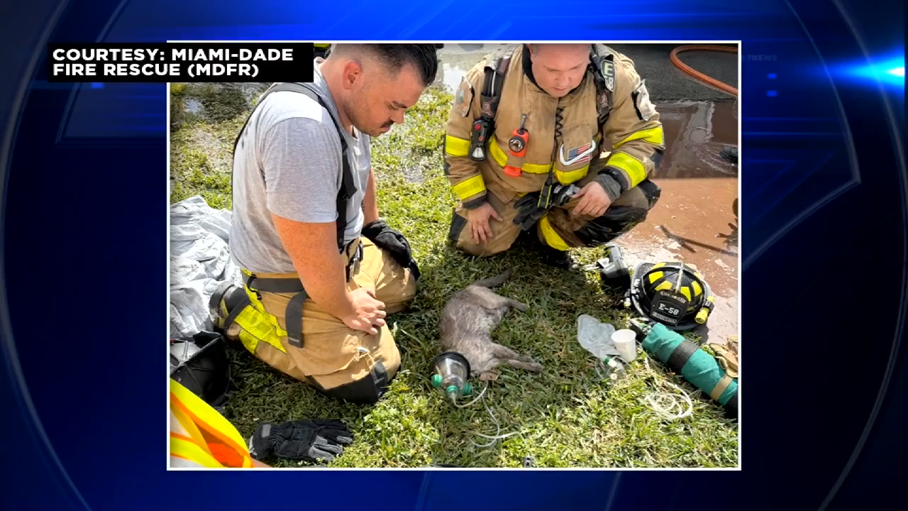 Crews put out fire at West Miami-Dade home; 3 pet cats rescued - WSVN ...