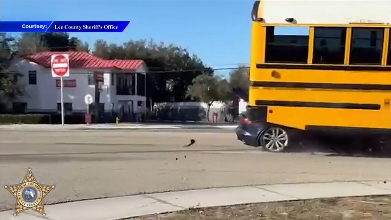 Driver rear-ends school bus in Lee County, ends up wedged underneath ...