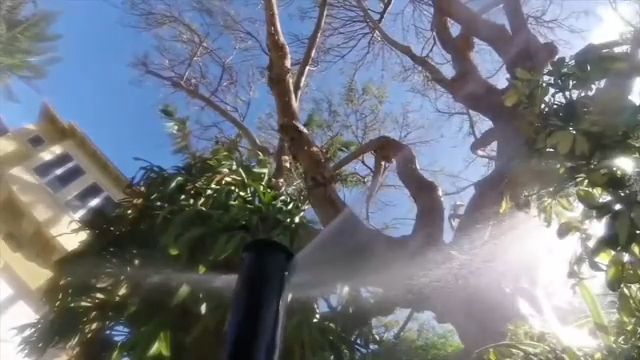 South Florida drought conditions could lead to water shortage and ...