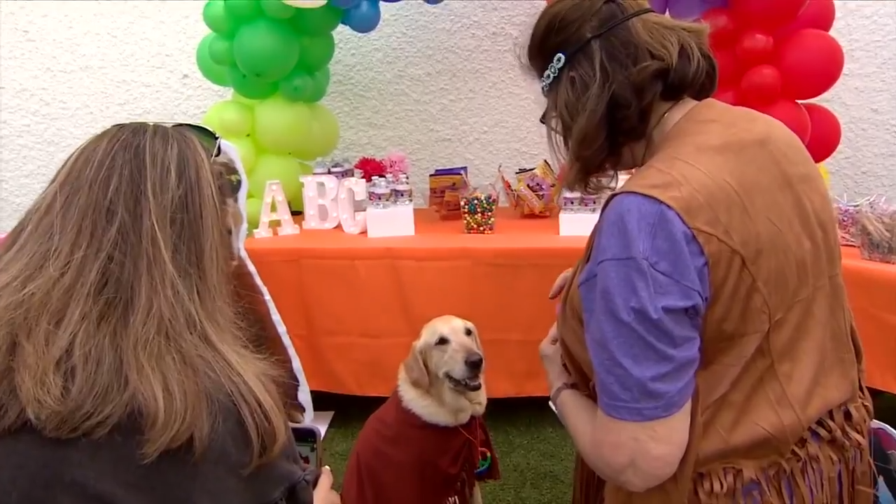 Hospital staff at Jackson North throw themed party to celebrate 5th ...