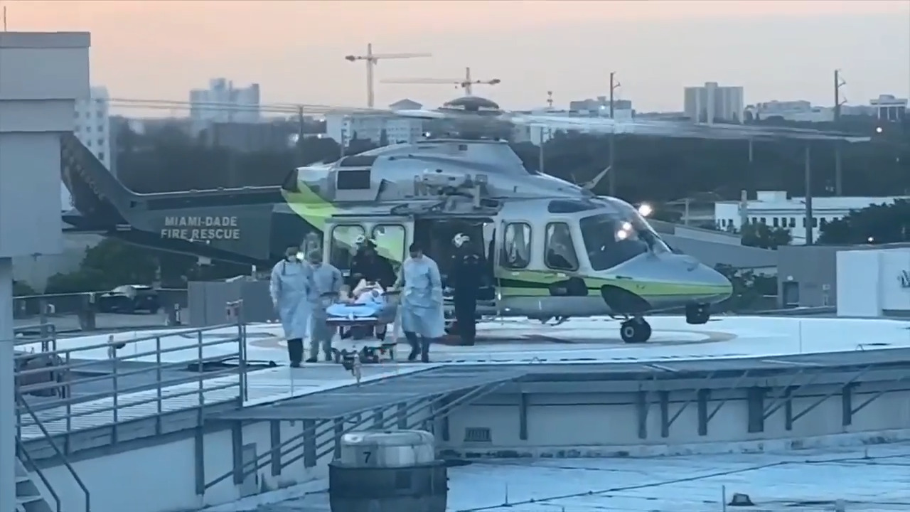 Woman airlifted after being attacked by dog in Hialeah, multiple dogs ...