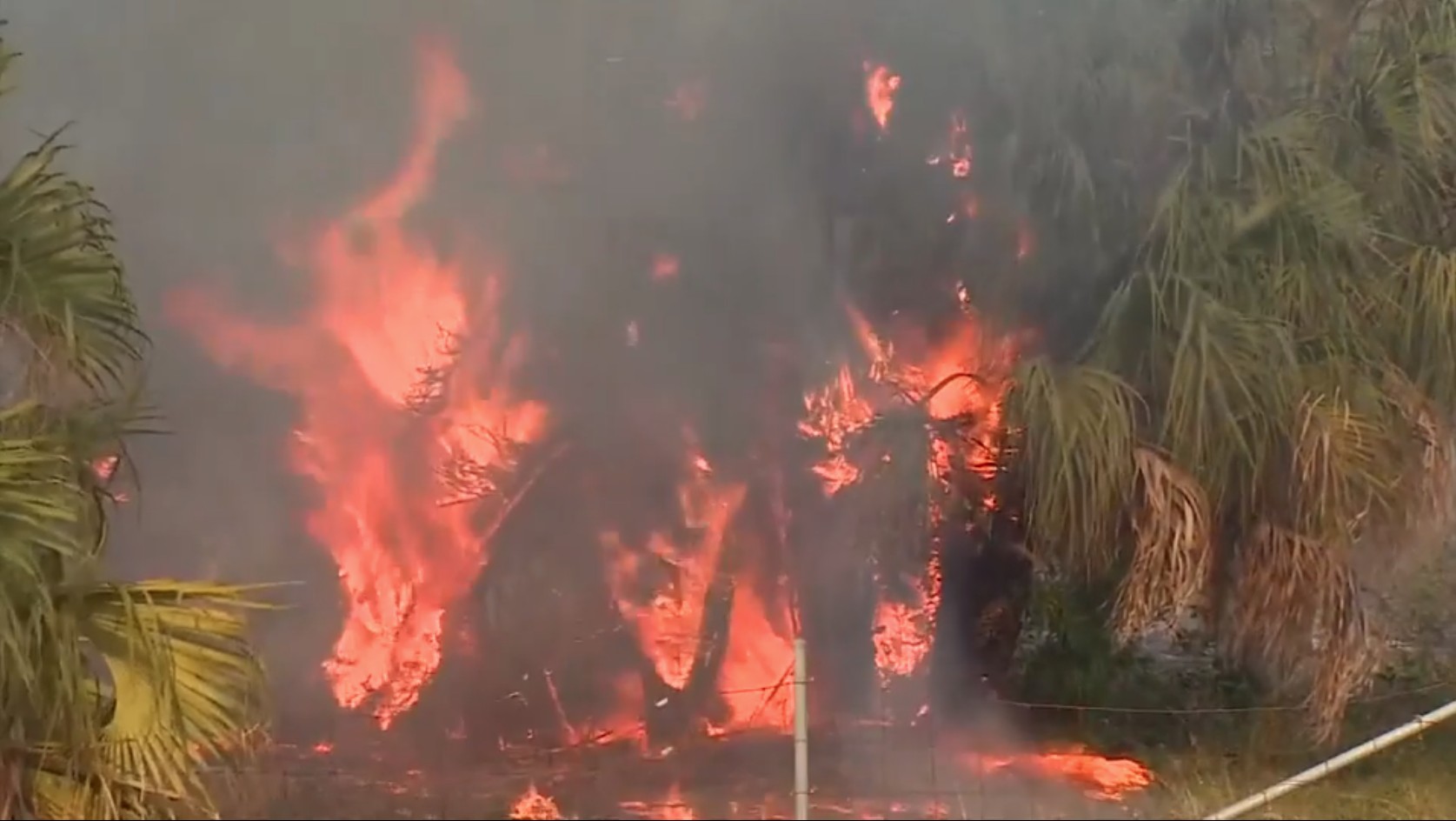 Crews tackle 2-alarm grass fire in West Kendall; 25 acres burned, 65% contained - WSVN 7News ...