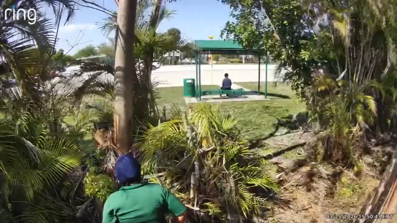 Help Me Howard – WSVN 7News | Miami News, Weather, Sports | Fort Lauderdale