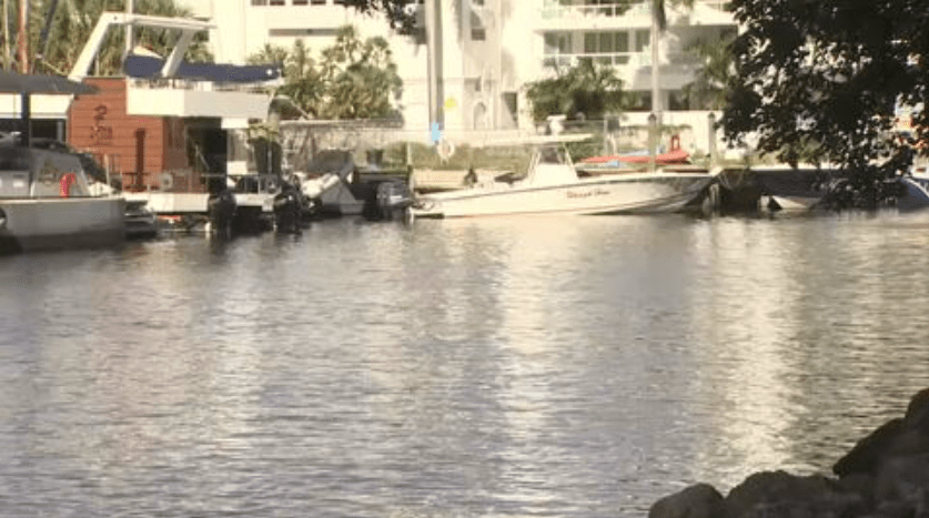 Man drowns in downtown Fort Lauderdale; police seek answers - WSVN ...