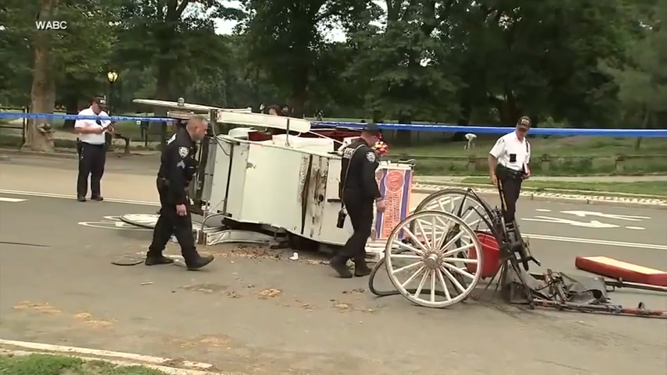 New York mayor, other leaders push to ban horse-drawn carriage rides ...