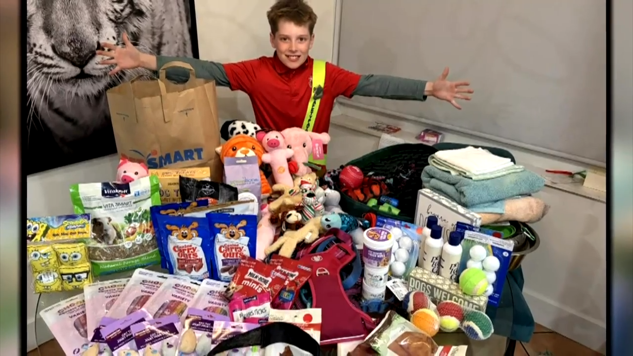 12-year-old’s passion for animals and helping led to hundreds of ...