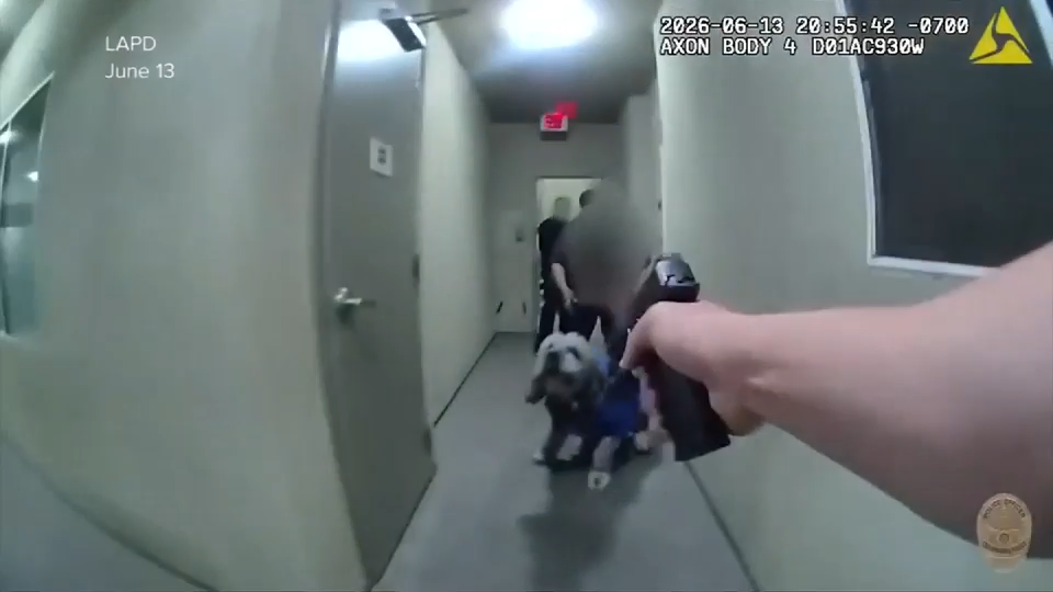 Family dog shot and killed by LAPD during Knicks celebration at condo ...